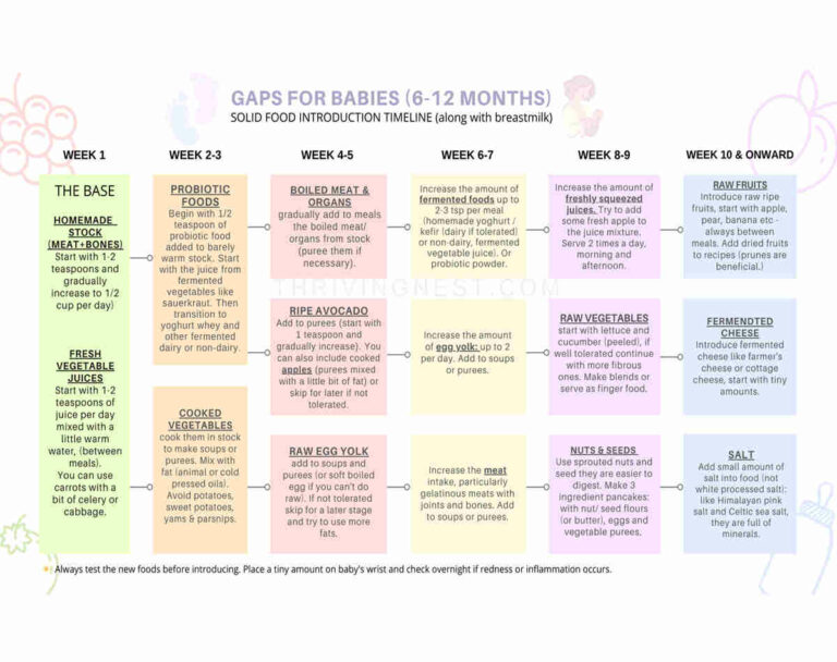 GAPS For Babies | GAPS Diet Food List By Stage - ThrivingNest