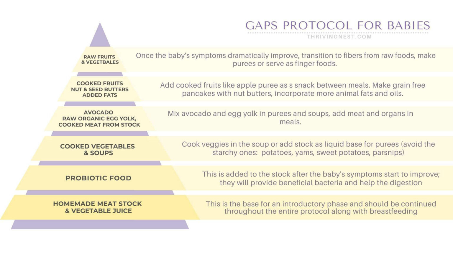 GAPS For Babies | GAPS Diet Food List By Stage - ThrivingNest