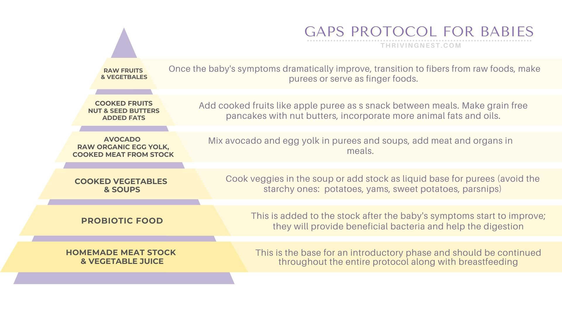 GAPS For Babies | GAPS Diet Food List By Stage - ThrivingNest