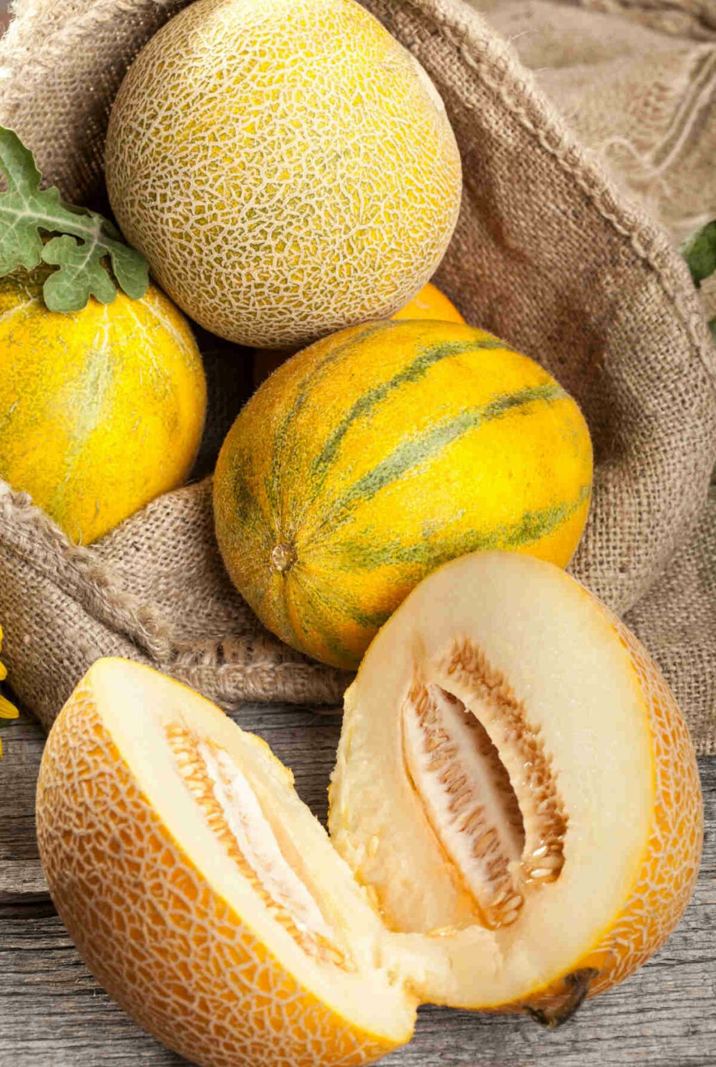 Melon For Babies: Ways To Cut (BLW) Serve - ThrivingNest