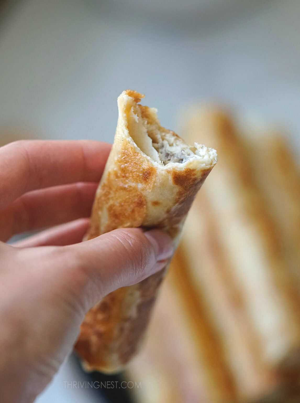 Chicken & Mushroom Crepe Rolls - Kid & Baby Friendly - ThrivingNest